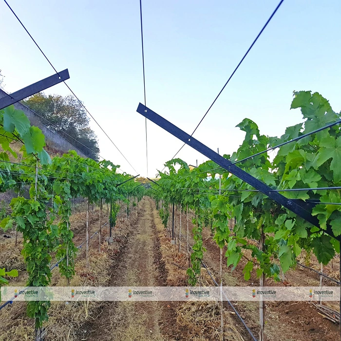 Empowering Agriculture with Agrosia PET Wire || Inoventive Filaments